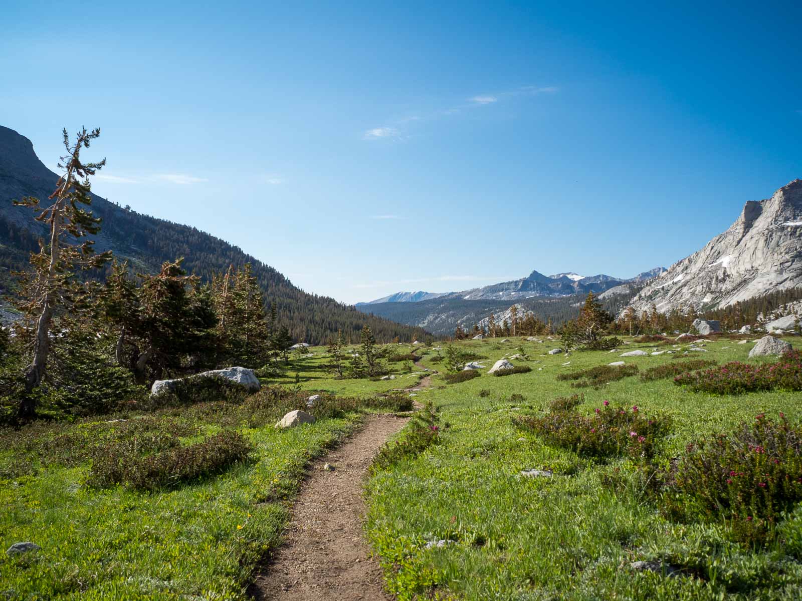 6 Days and 80 miles on the High Sierra Trail » Bryan's Blog